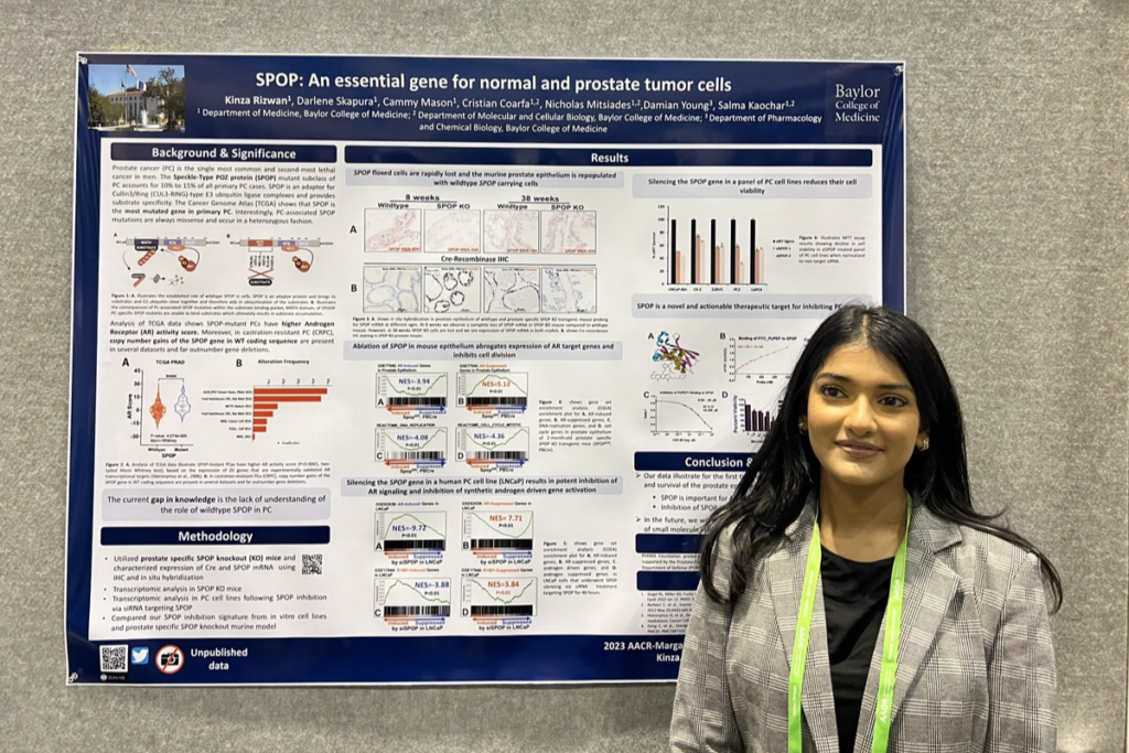 Researcher Spotlight: Exploring a Novel Therapeutic Target for Prostate ...